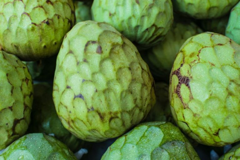 Cherimoya: Ce este, cum se consuma si de ce este numit cel mai sanatos ...