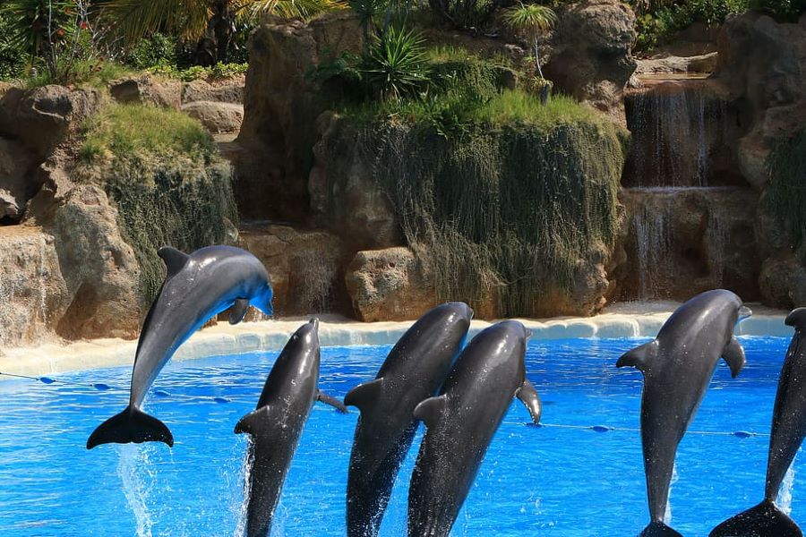 Ce tipuri de cazari sa alegi, pentru vacanta in Tenerife ideala ...